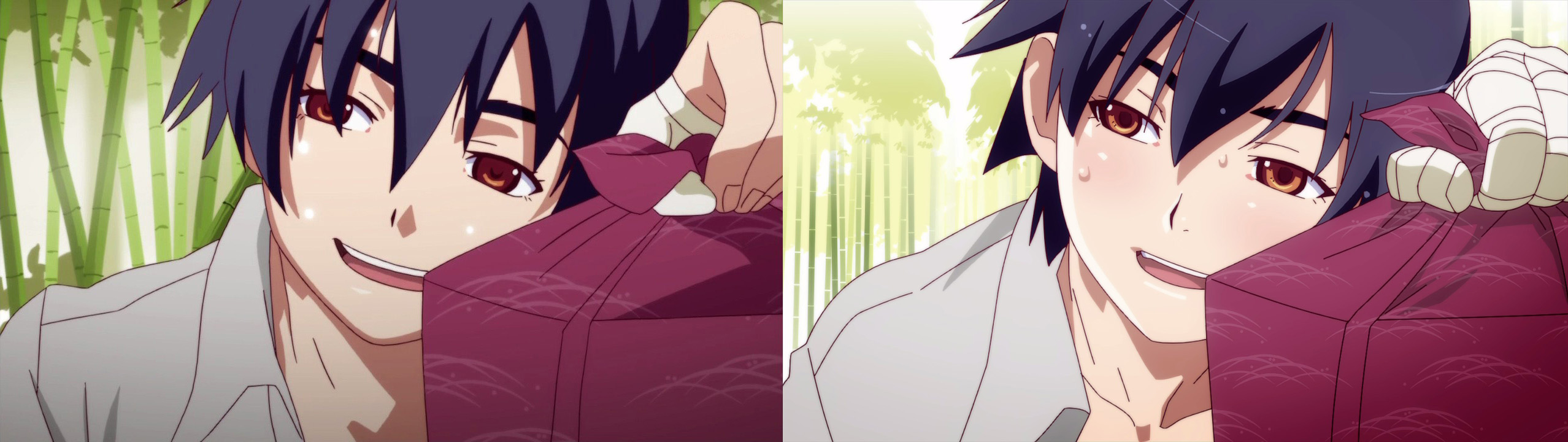 Bakemonogatari – 09, 10 (DVD/BD Version) - Random Curiosity