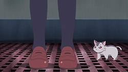 Hai-Furi – Random Curiosity